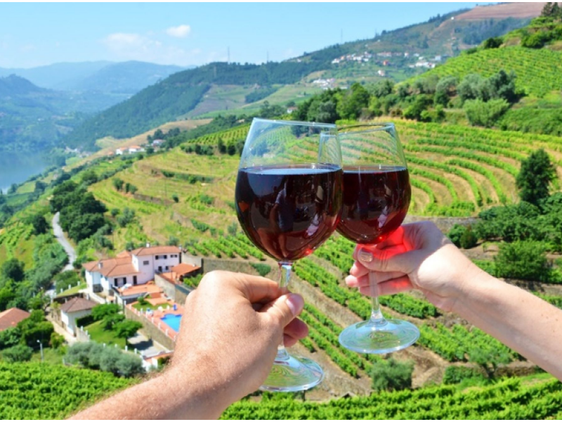 As regiões de vinho de Portugal