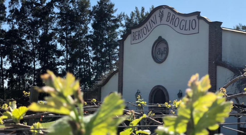 Bertolini & Broglio • Intelivino